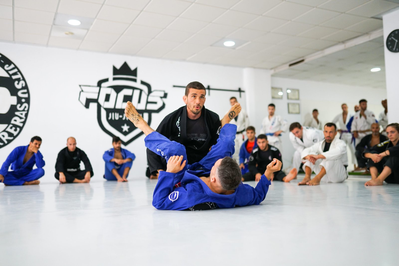 Técnicas Esenciales de Jiu-jitsu: Clases en Alicante para Todos los ...